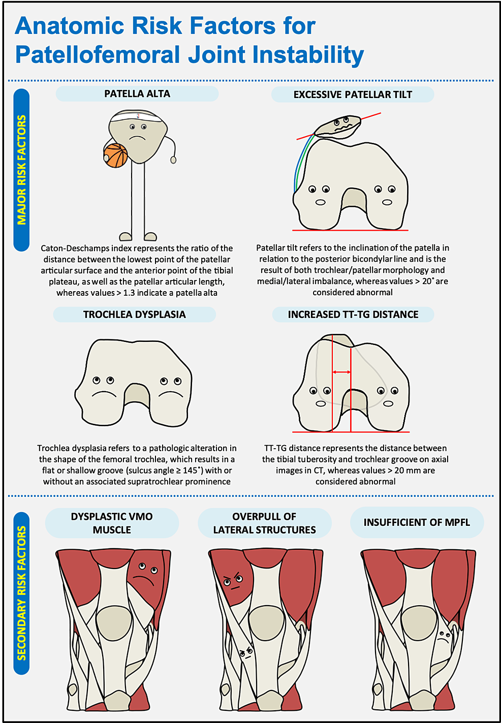 What is the Patella?